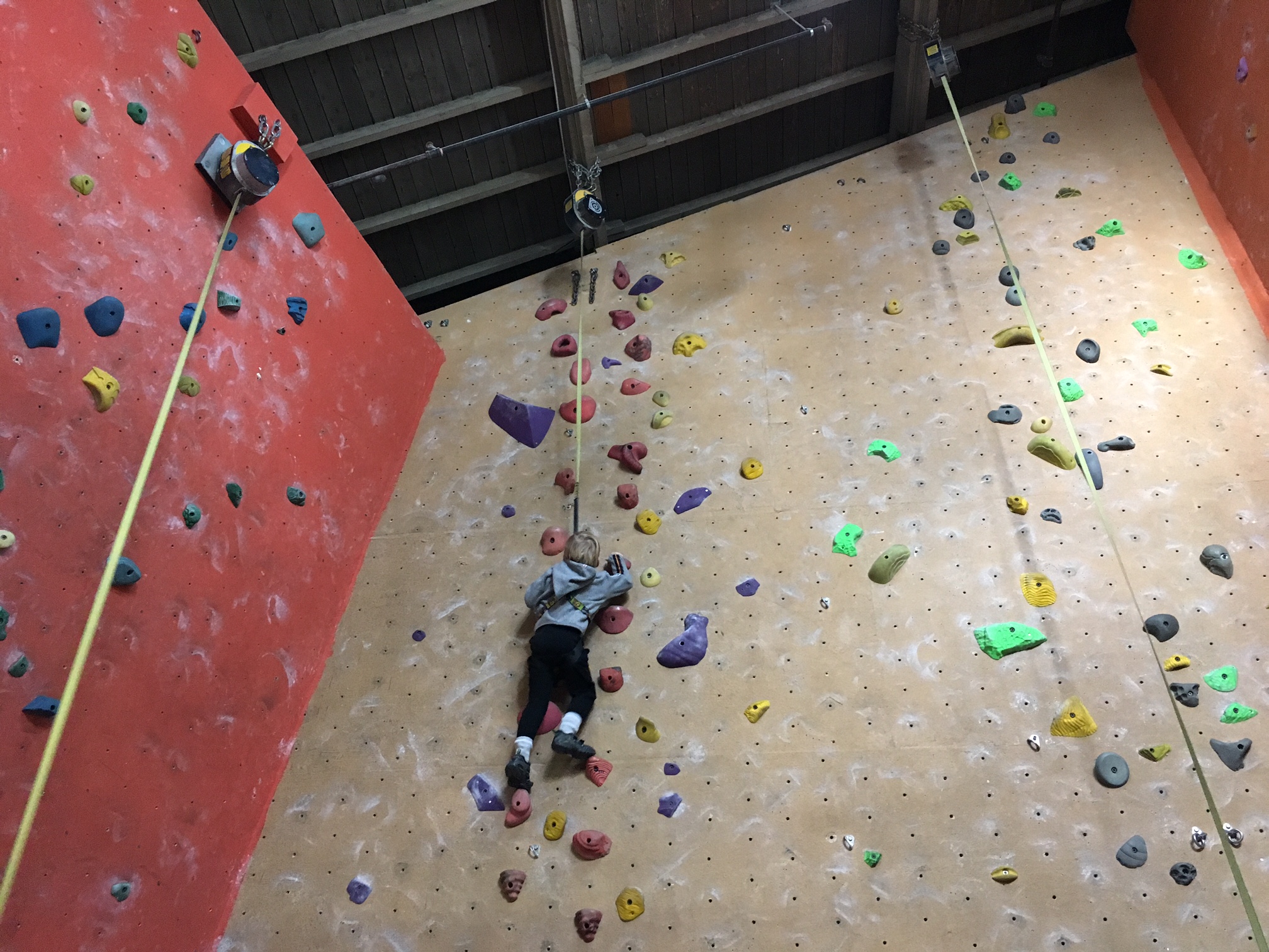 Rock Oasis – Indoor Rock Climbing for Kids | Kids in T.O.